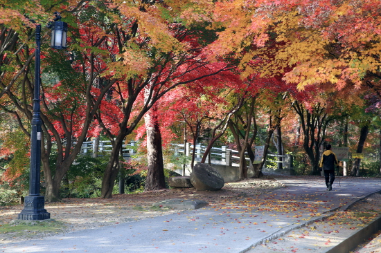울긋불긋 가을 손님 지리산 뱀사골 단풍, 일상을 접고 가을 색에 젖어 본다