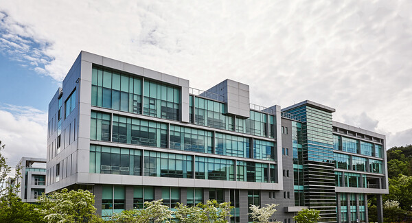 영진전문대학교, 이달 15일까지 정시모집. . .'취업률 80% 육박'